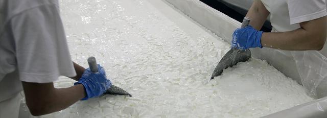 Flotek | Process Optimization Defined